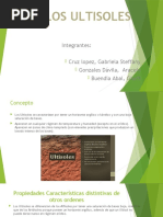 Clasificación de Los Suelos Según USDA | PDF | Suelo | Arcilla