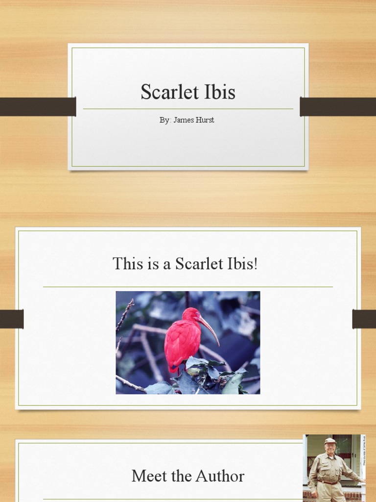 Scarlet Ibis: By: James Hurst | PDF | Narration | Unrest
