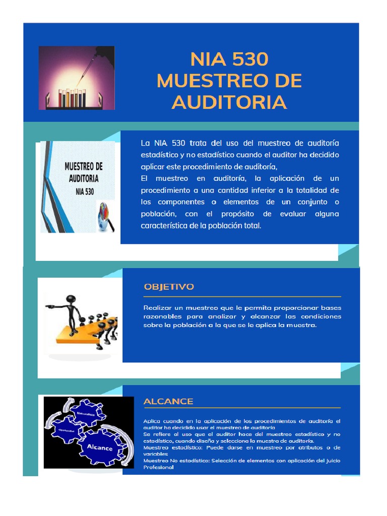 Infografia Nia 530 | PDF