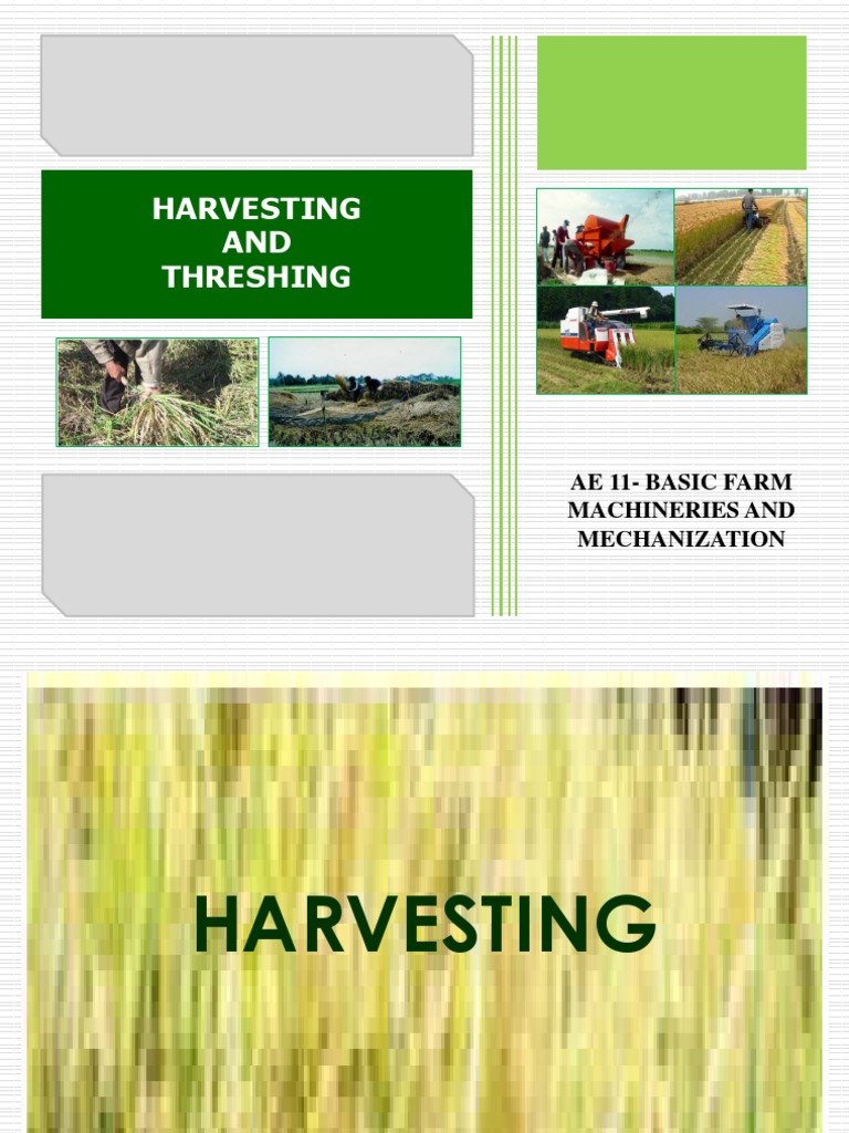 Harvesting & Threshing Module | PDF | Cereals | Agriculture