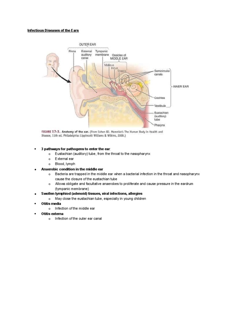 Ear and Eye Infection Pathways | PDF