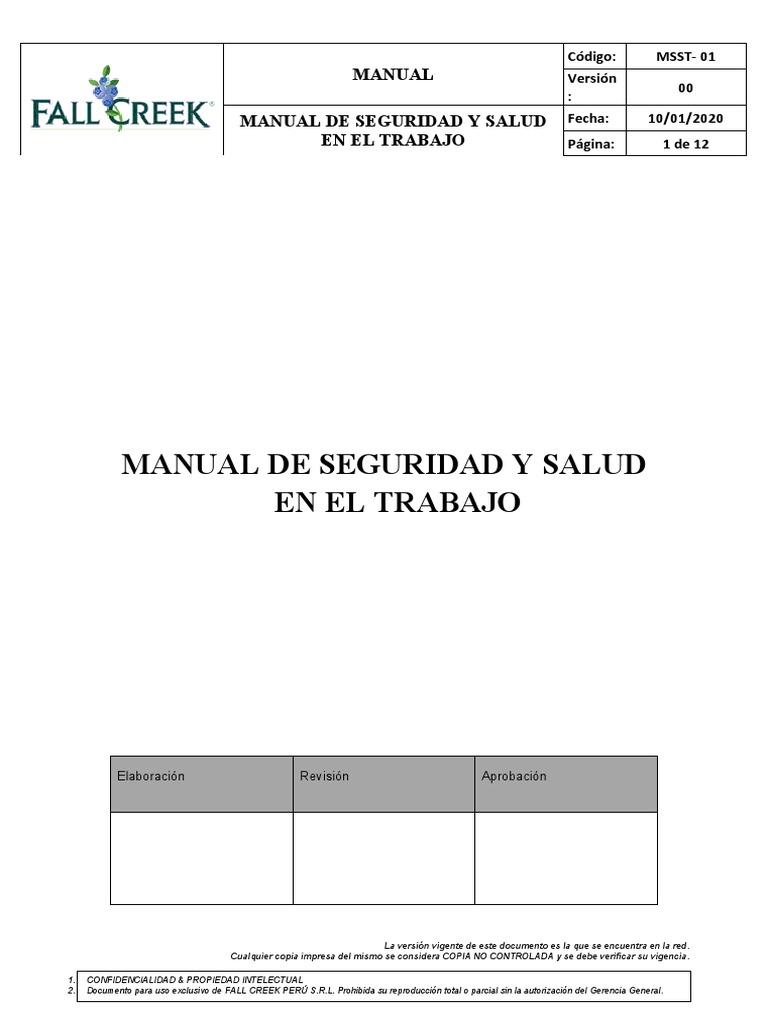 MSST - 01 Manual de Seguridad y Salud en El Trabajo | PDF | Propiedad ...