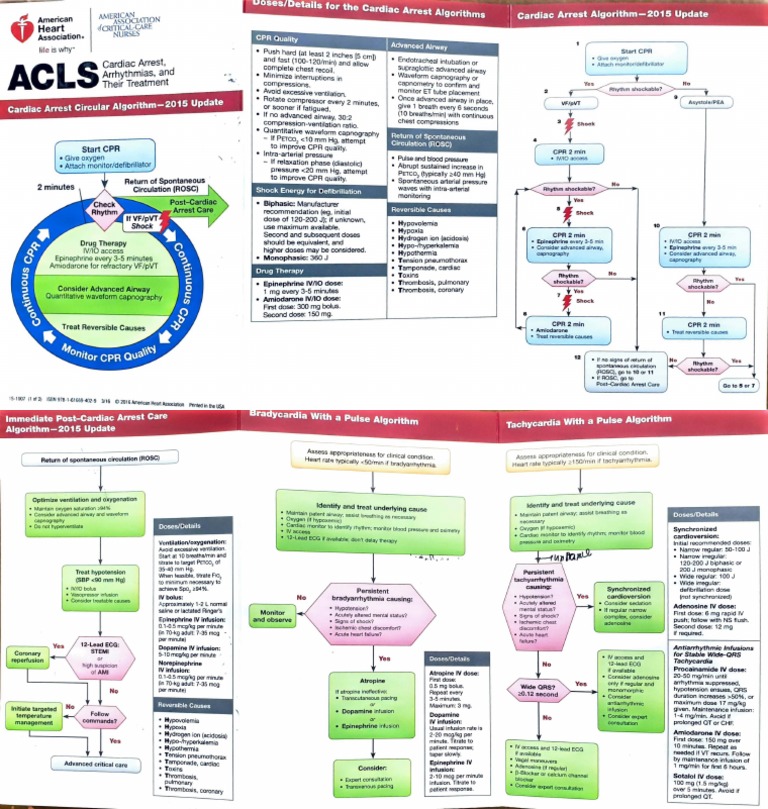Cardiac Arrest Algorithm-2015 Update | PDF | Cardiopulmonary ...