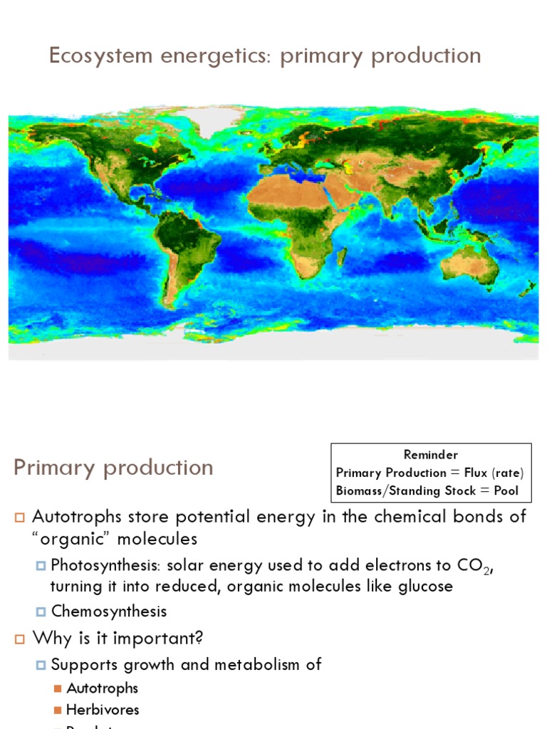 Terrestrial Primary Production | PDF | Primary Production | Photosynthesis