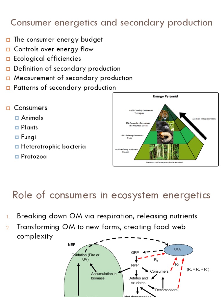 Secondary Production | PDF | Biogeochemistry | Ecology