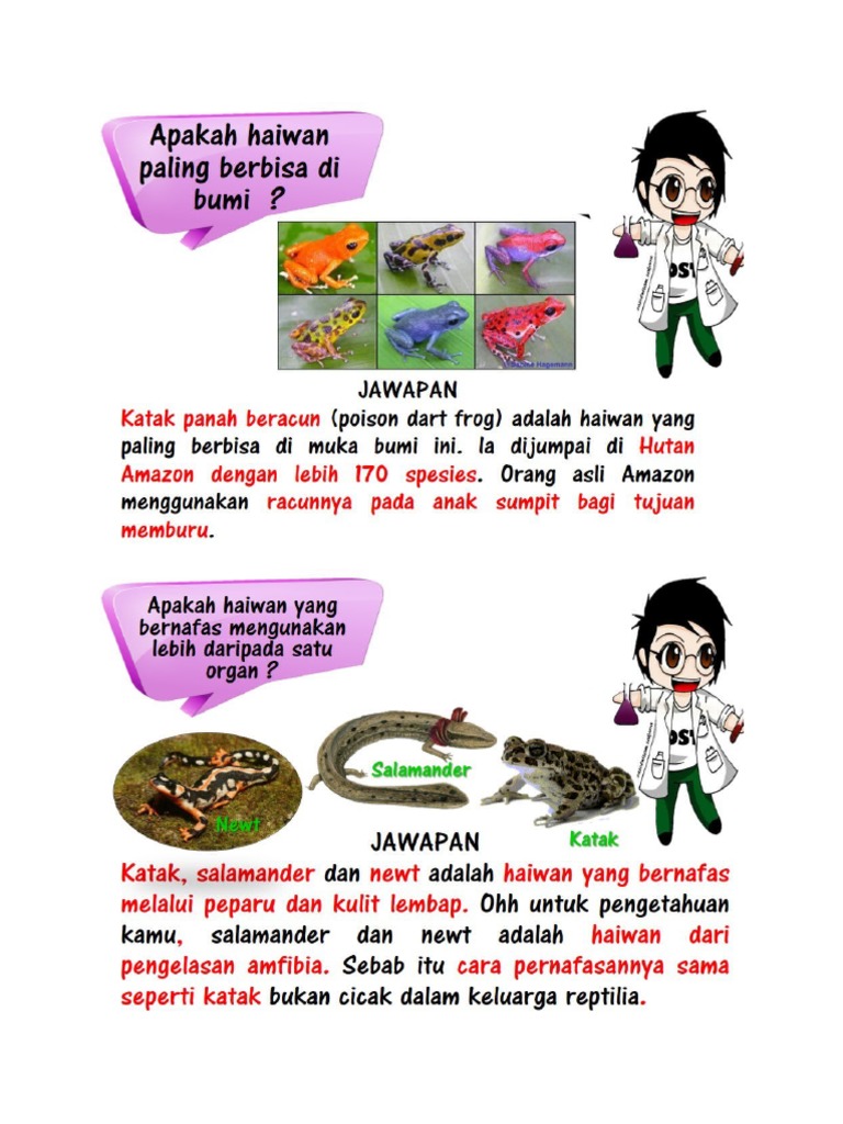 Info Sains | PDF