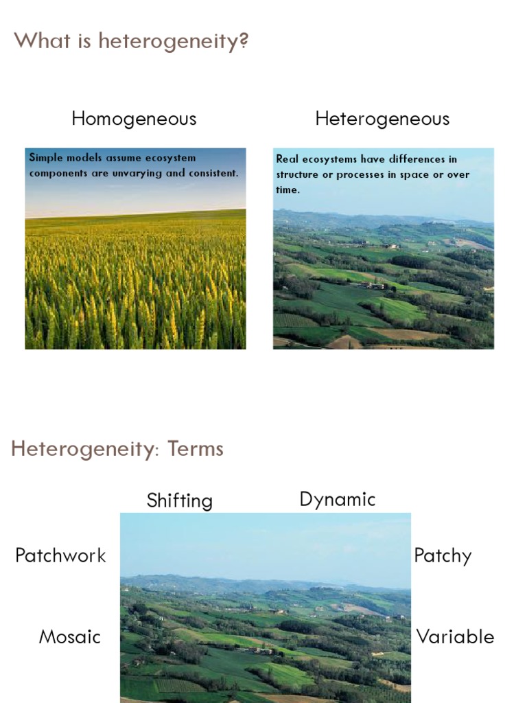 Landscape Heterogeneity | PDF | Physical Geography | Natural Environment
