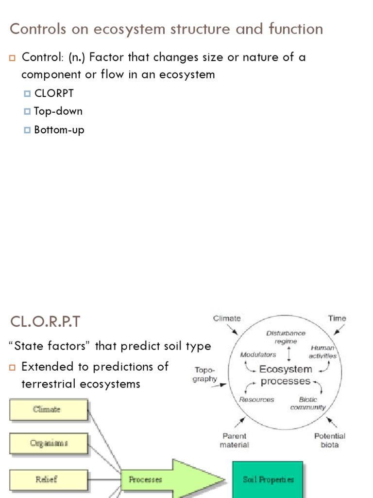 Controls of Ecosystem Processes | PDF