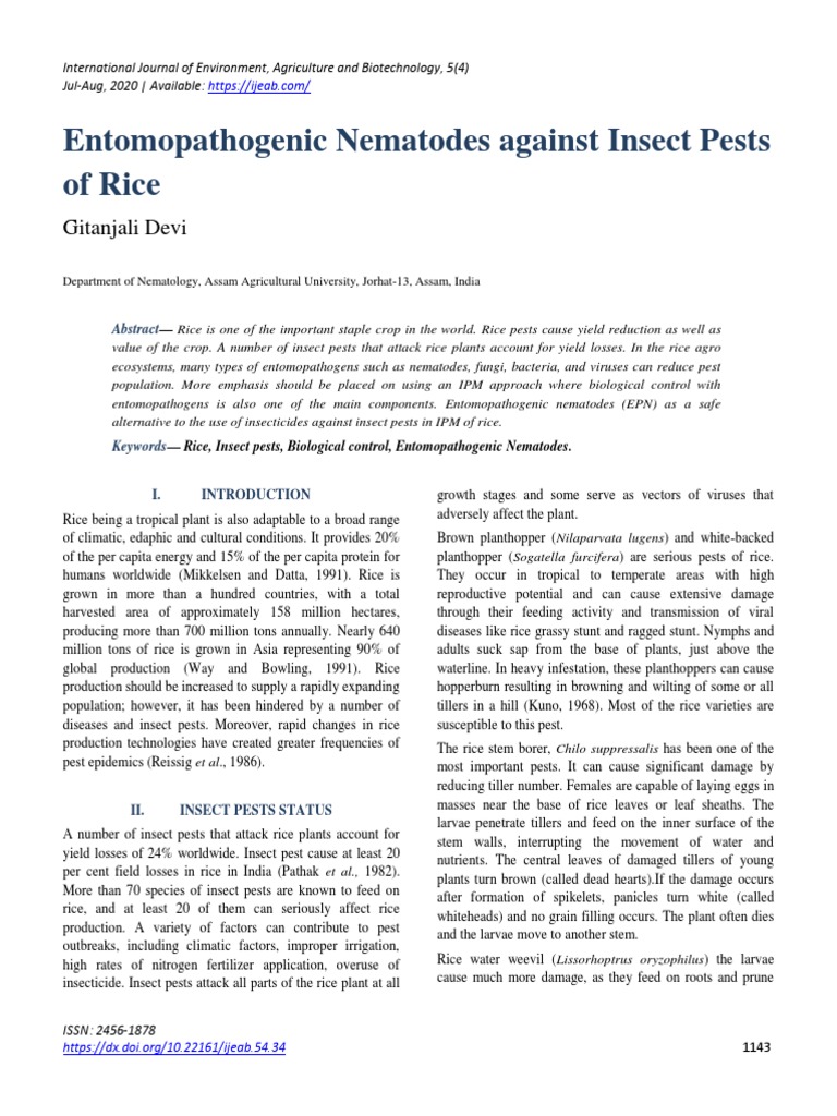 Entomopathogenic Nematodes Against Insect Pests of Rice | PDF | Biological Pest Control | Rice