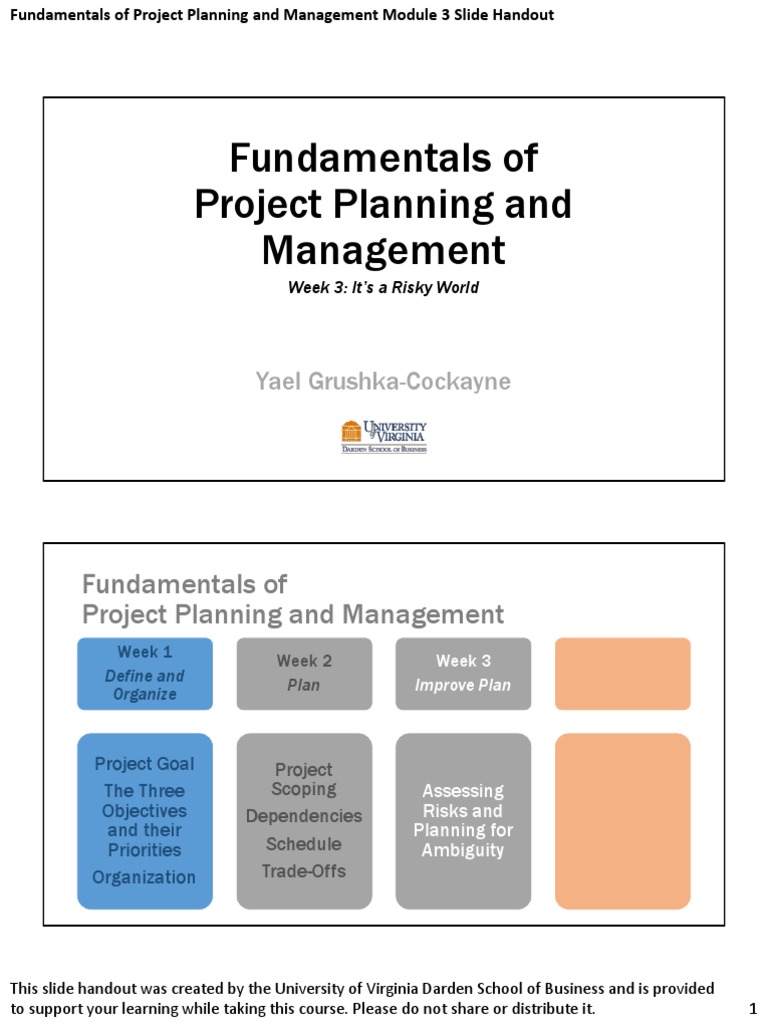 Project Planning: Risk Management Insights | PDF | Risk | Business