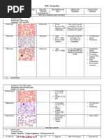 RBC Anomalies and Grading Criteria | PDF | Anemia | Red Blood Cell