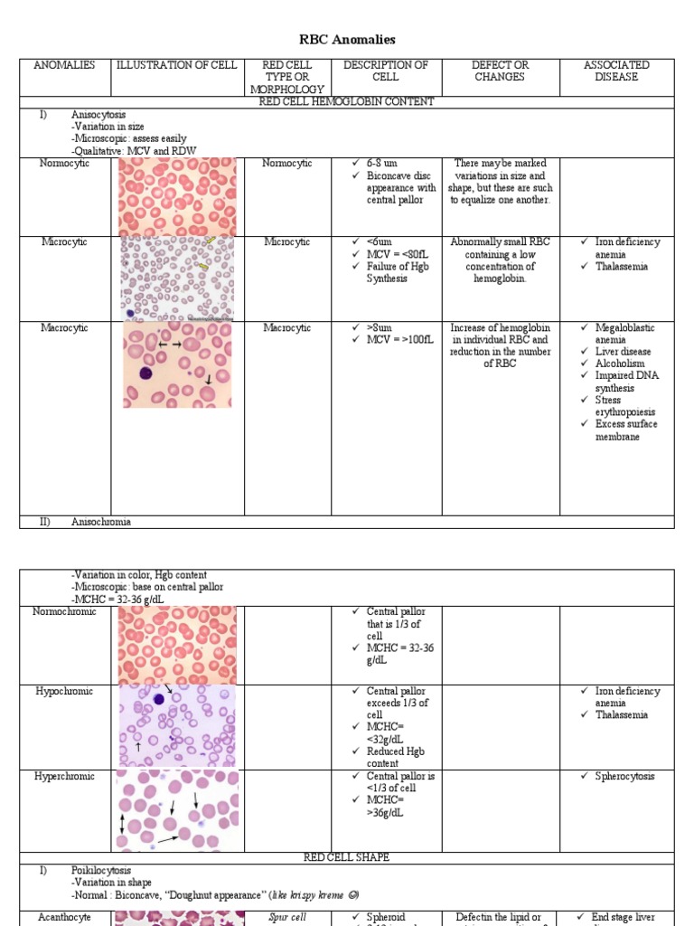 RBC Anomalies | PDF | Red Blood Cell | Anemia