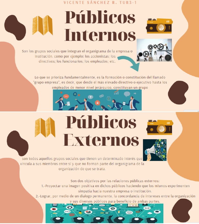 Publico Interno y Externo PDF | PDF