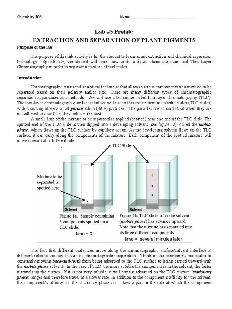 Extraction and Separation of Plant Pigments | PDF | Thin Layer ...