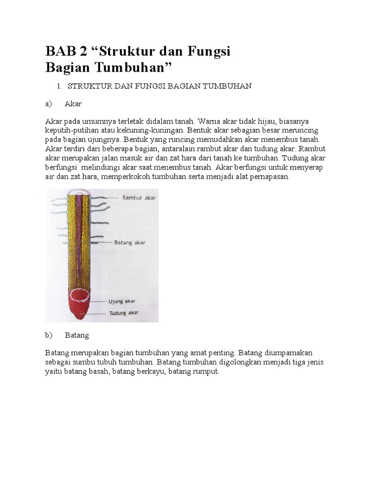 BAB 2 Bagian Tumbuhan | PDF | Griya & Taman | Sains & Matematika