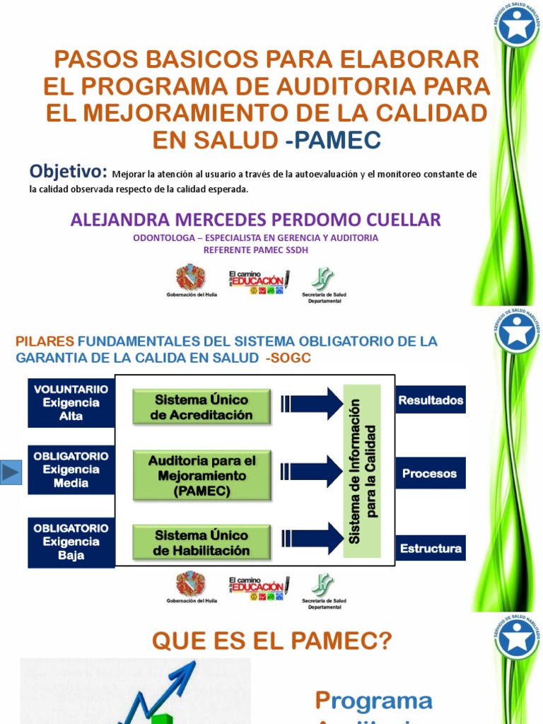Guía PAMEC: Mejora de Calidad en Salud | PDF | Evaluación | Auditoría
