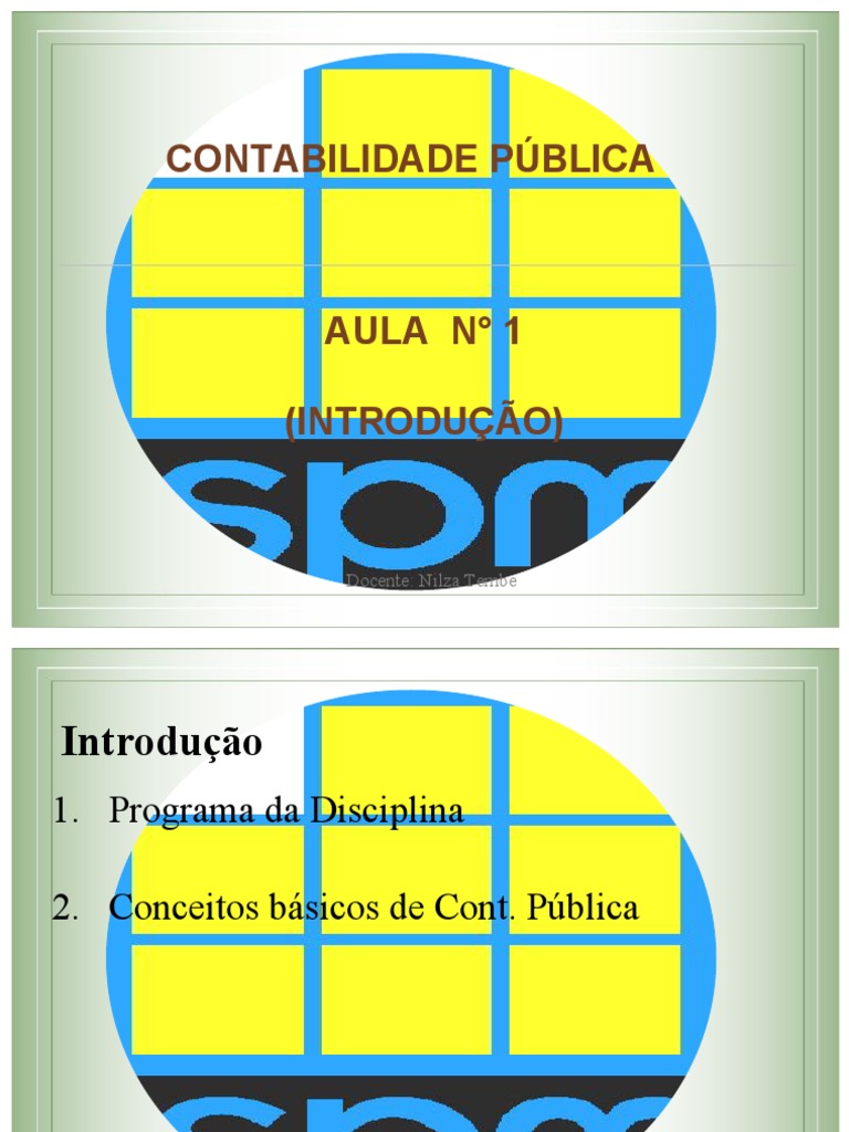 Conceitos Basicos em Contabilidade Publica | PDF | Balancete ...