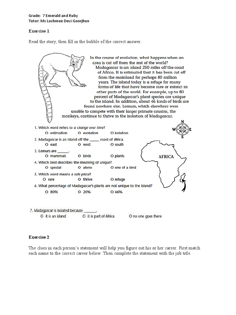 Grade 7 Reading Comprehension Worksheet | PDF