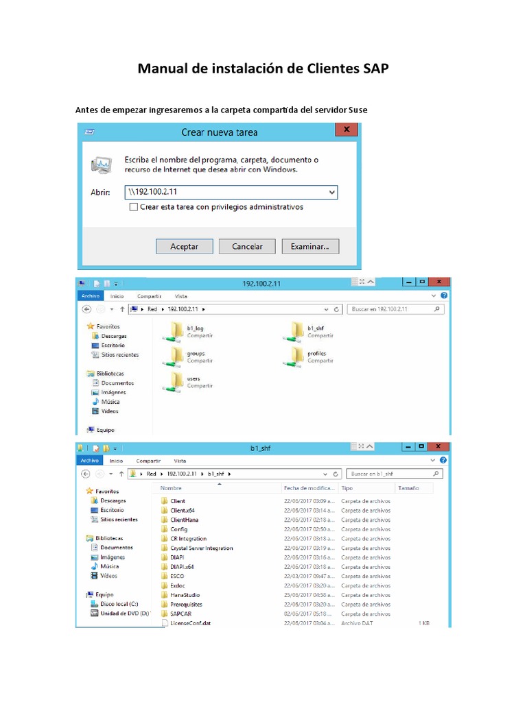 MANUAL DE INSTALACION Cliente - SAP | PDF