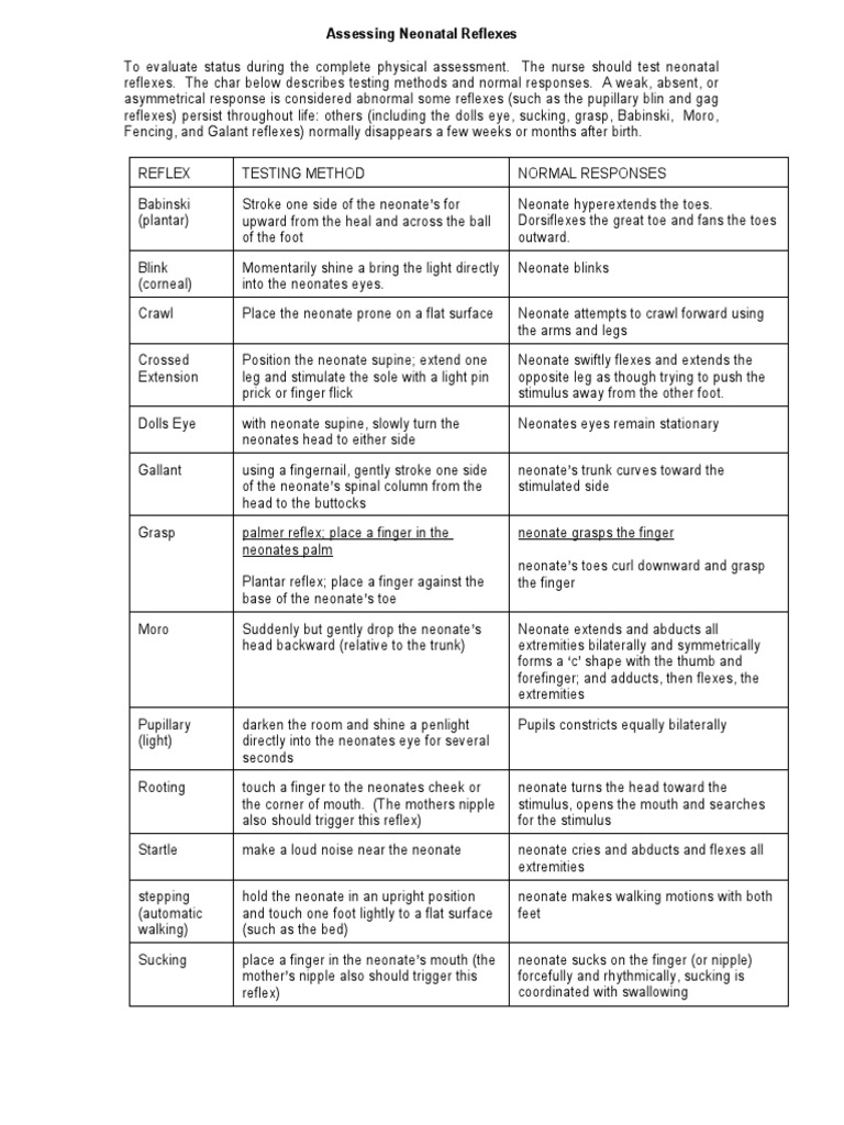 Reflexes | PDF | Anatomical Terms Of Motion | Human Anatomy