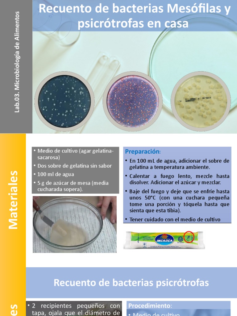 Recuento de Bacterias Mesófilas y Psicrótrofas en Casa | PDF | Naturaleza