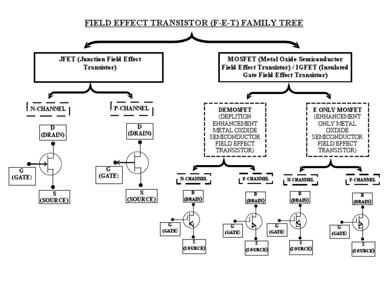 FET Family Tree: JFET and MOSFET Types | PDF