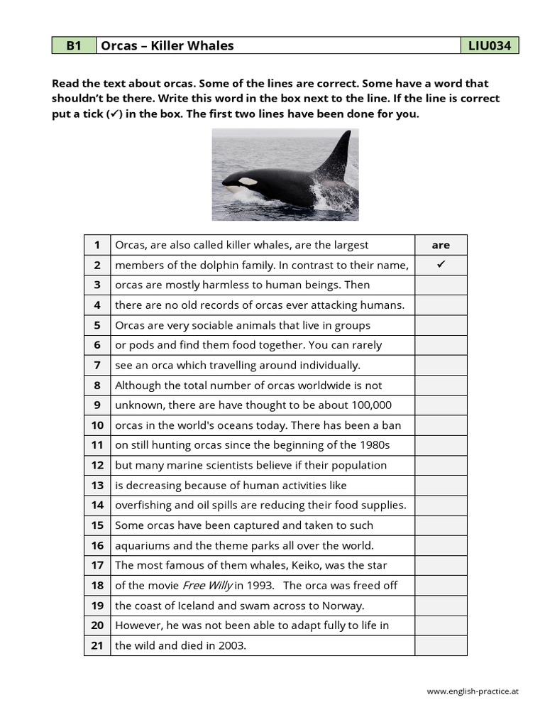 B1 Orcas - Killer Whales LIU034: WWW - English-Practice - at | PDF