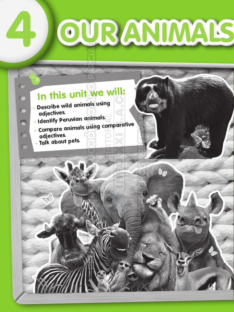 Workbook UNIDAD 4 | PDF | Pet | Farms