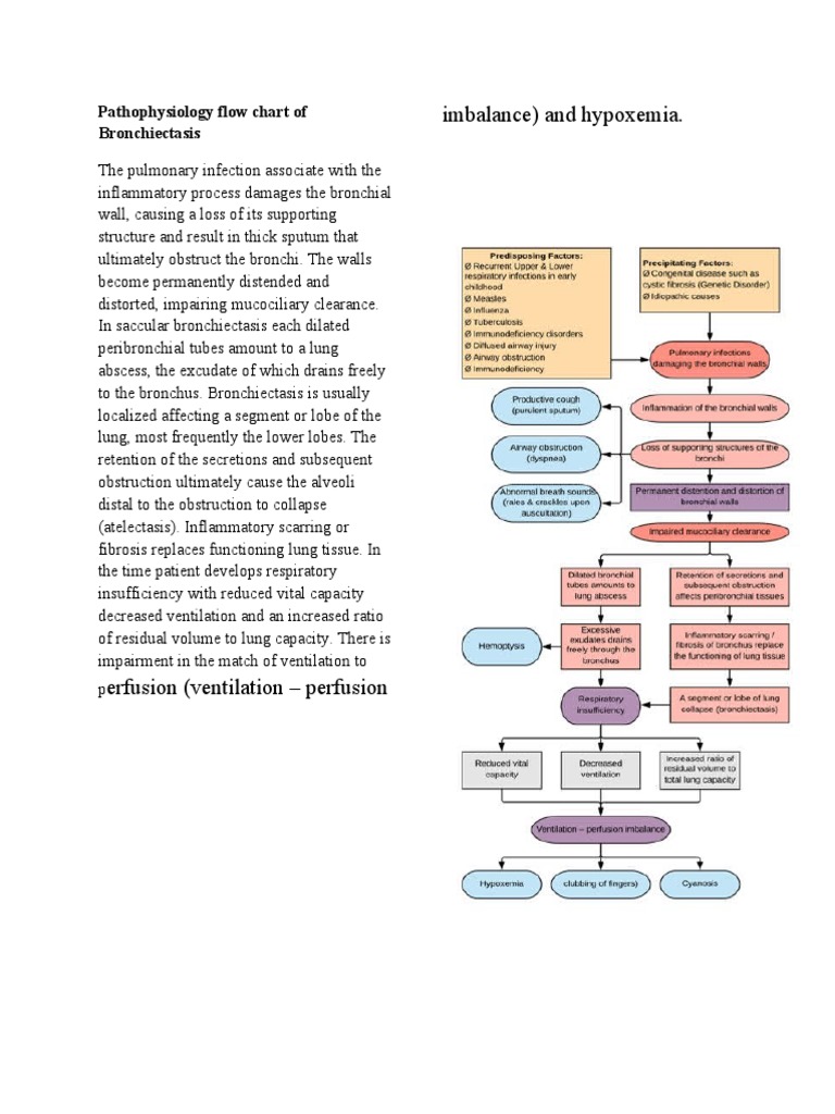Pathophysiology flow chart of Bronchiectasis