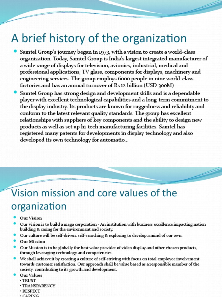 A Brief History of The Organization | PDF | Business | Economies