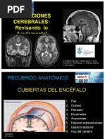 Atlas Bases Biologicas | PDF | Cerebro | Médula espinal