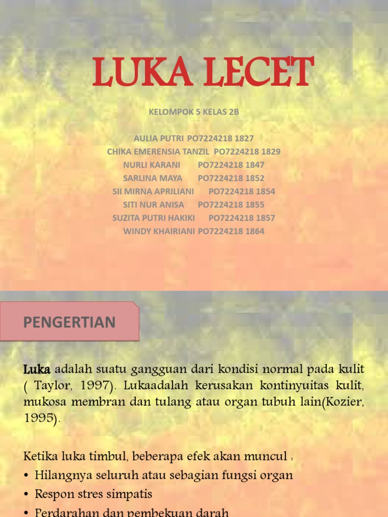 Luka Lecet | PDF