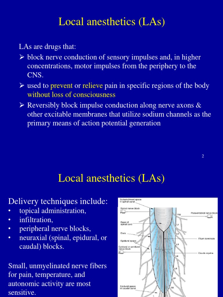 #Local Anesthetic Drugs | PDF | Action Potential | Axon
