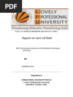 Oman Subsurface Stratigraphy Overview | PDF
