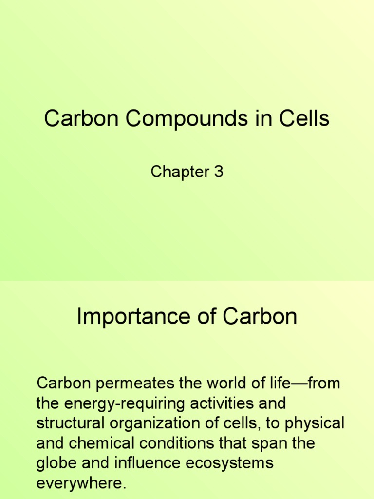 Carbon Compounds in Cells | PDF | Polysaccharide | Carbohydrates