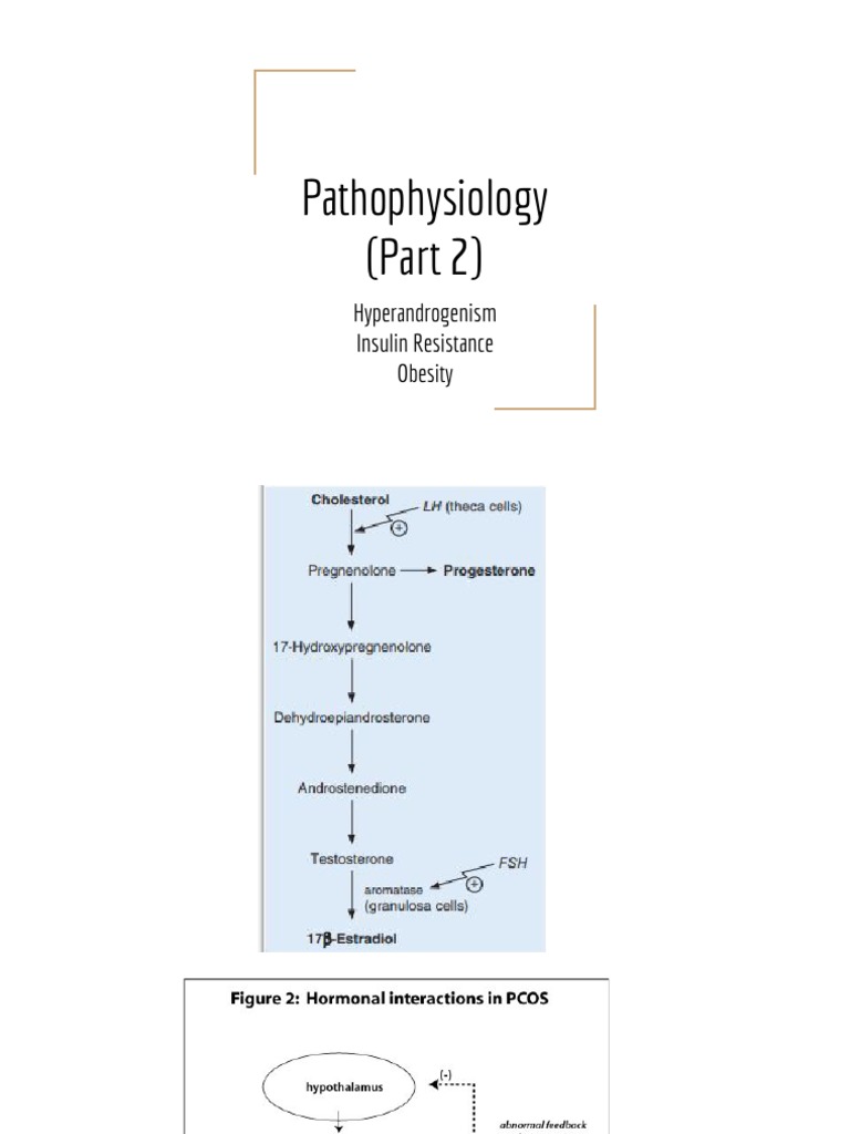 Pathophysiology of PCOS | PDF