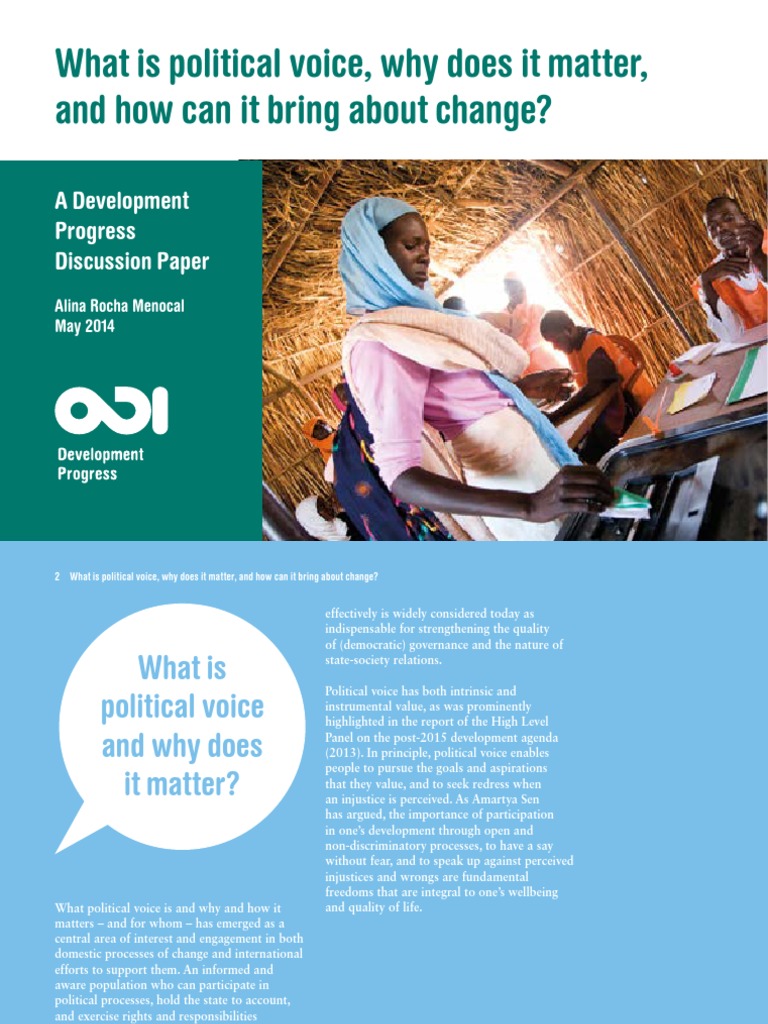 What Is Political Voice, Why Does It Matter, and How Can It Bring About ...