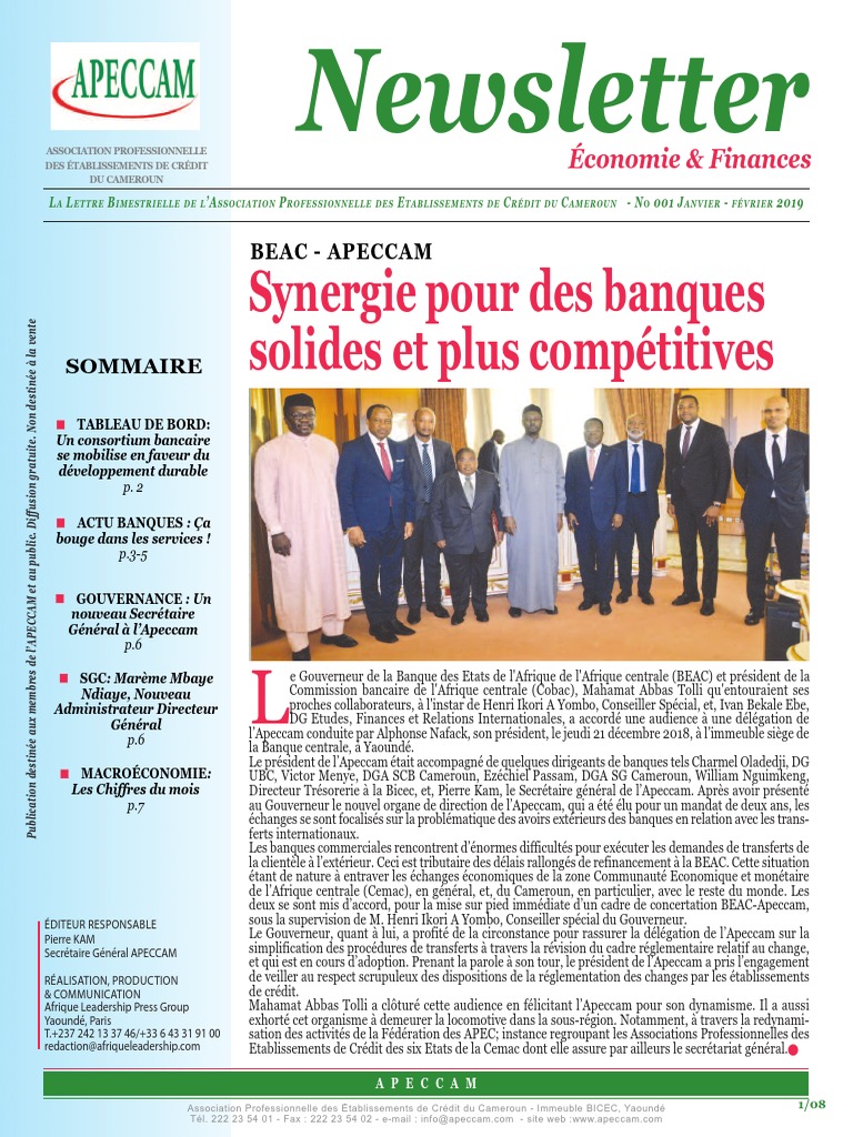 Newsletter | PDF | Banques | Obligation (Finance)