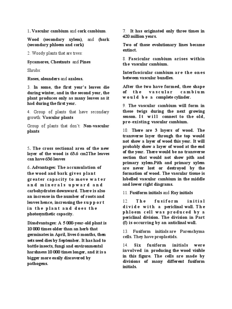 Fusiform Initials Are Parenchyma Cells. They Have Proplastids | PDF ...