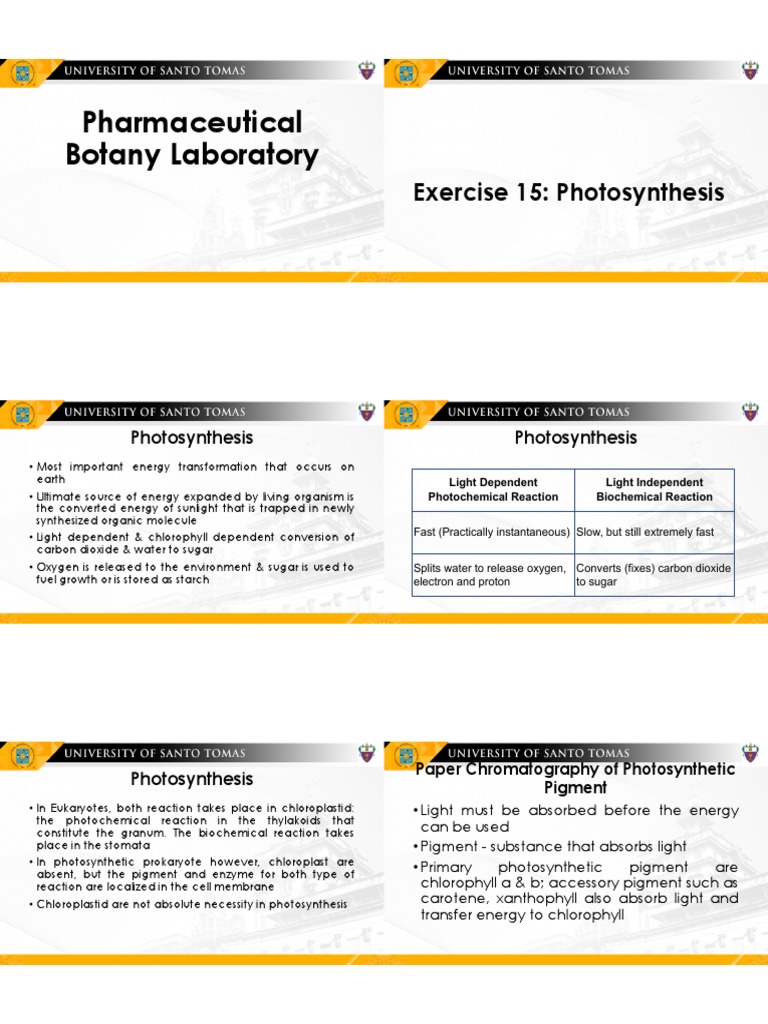 Pharmaceutical Botany Laboratory: Exercise 15: Photosynthesis | PDF | Cellular Respiration ...