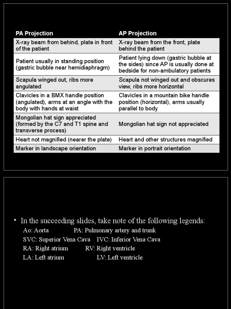 PA Projection AP Projection | PDF | Aorta | Heart