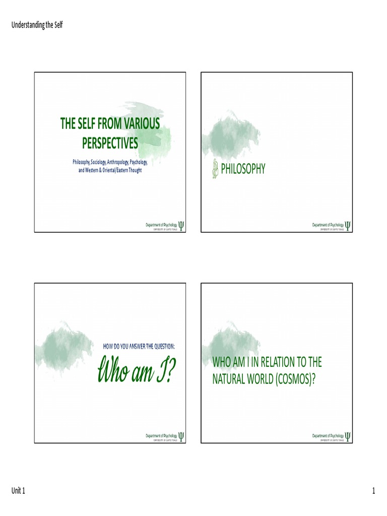 The Self: Philosophical Perspectives | PDF | Philosophy Of Self | Id