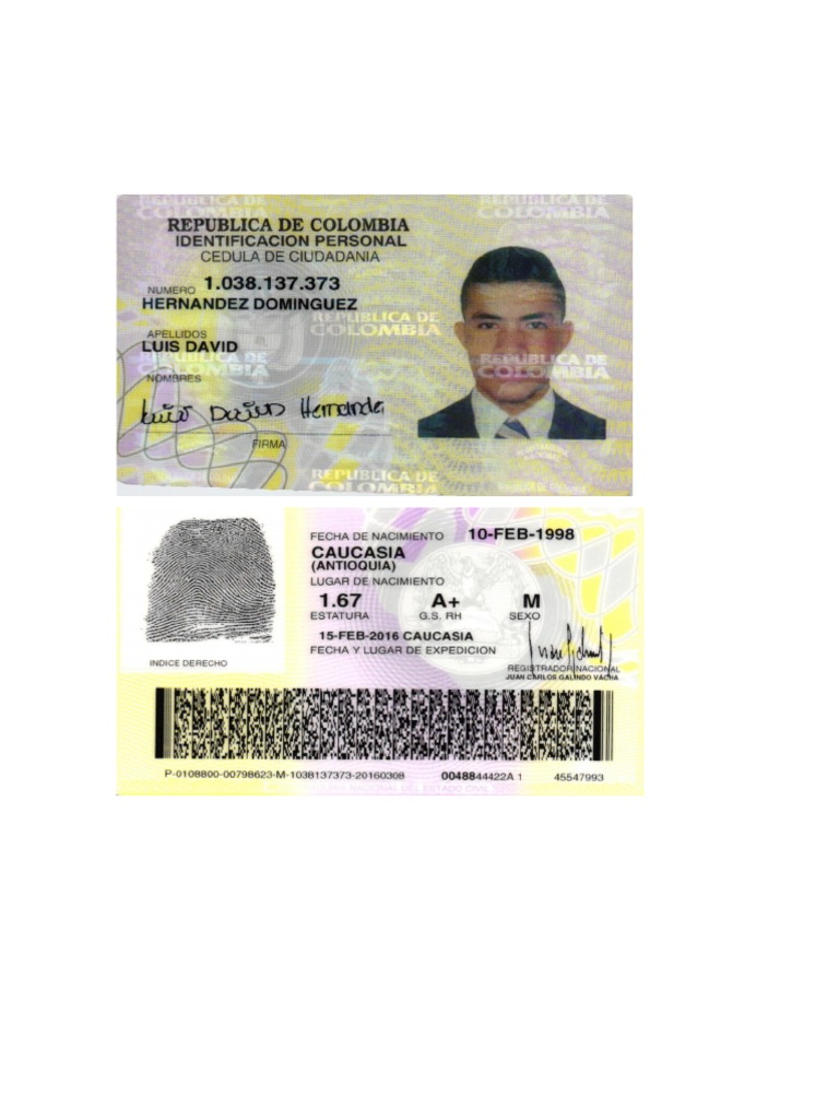 Cedula Luis David | PDF