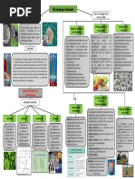 Mapa Conceptual de Bacterias | PDF | Las bacterias | Citoplasma