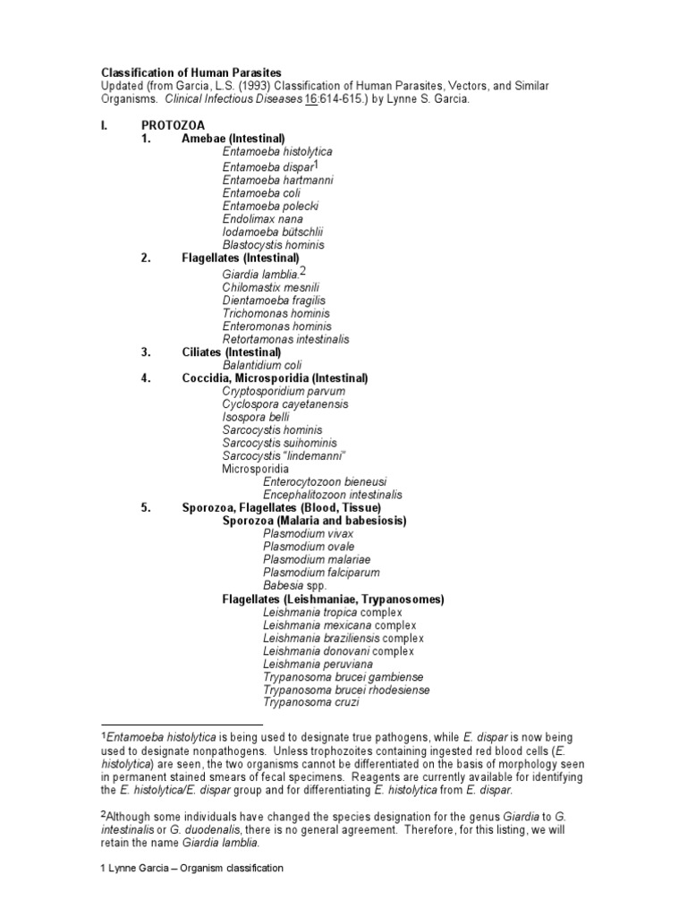 parasitology classification | Leishmania | Parasitology