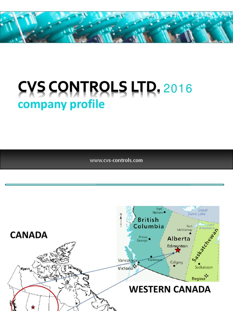 CVS - Company Profile PDF | PDF