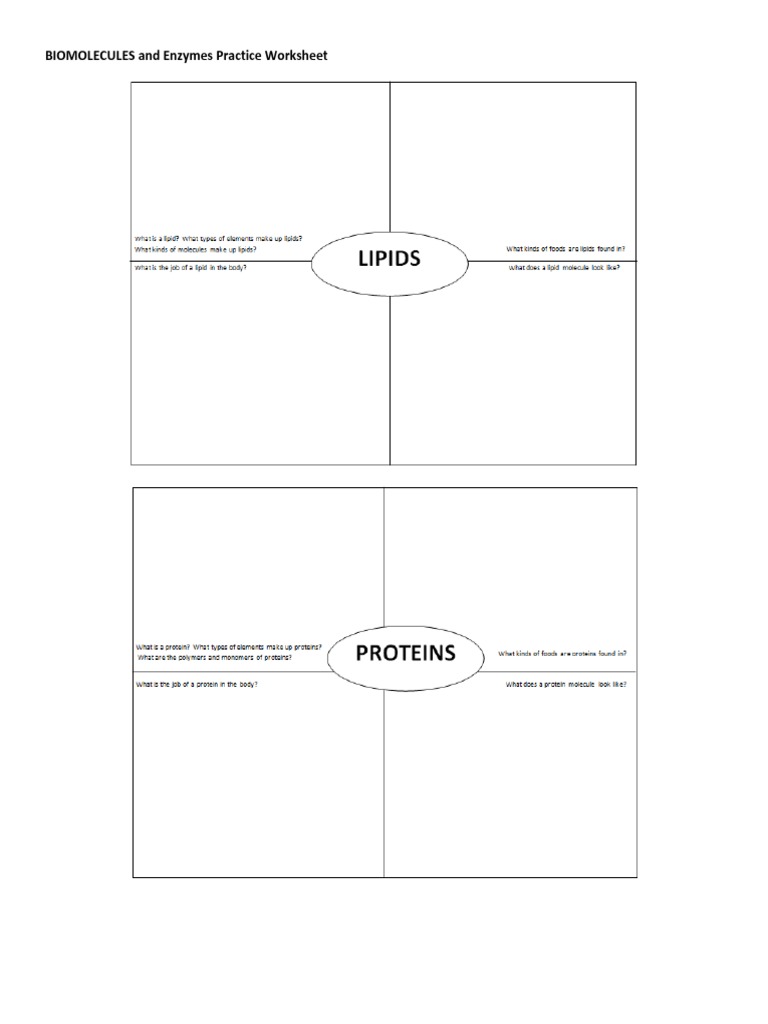 Biomolecules Practice | PDF