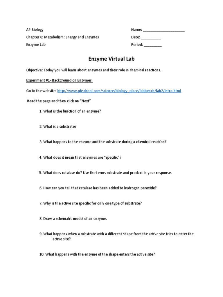 Enzyme Virtual Lab | PDF | Enzyme | Biochemistry