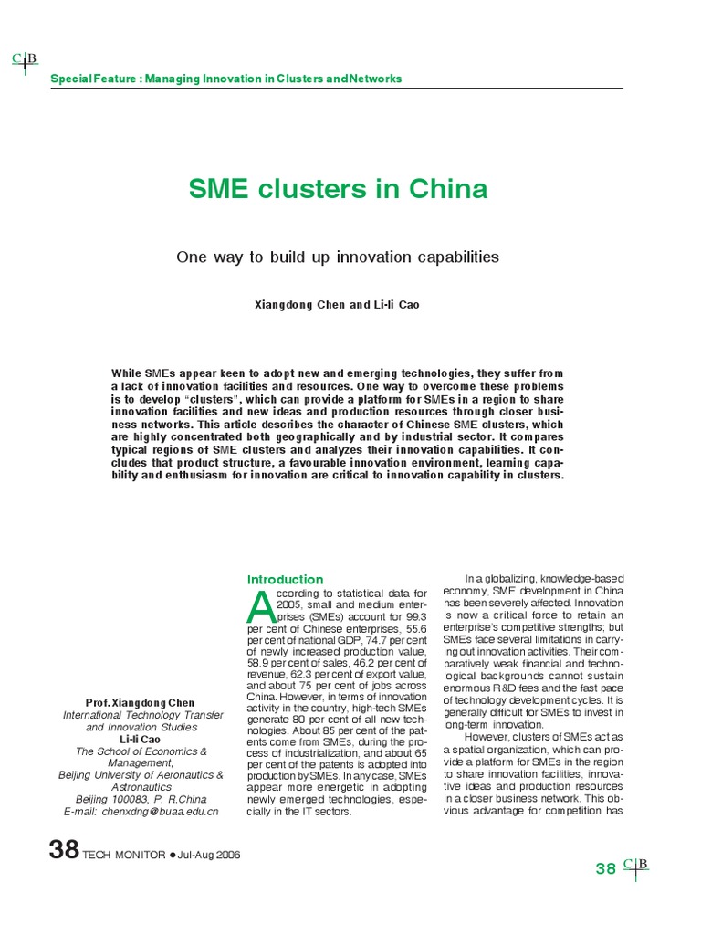 Analyzing the Innovation Capabilities of Chinese SME Clusters Through a ...
