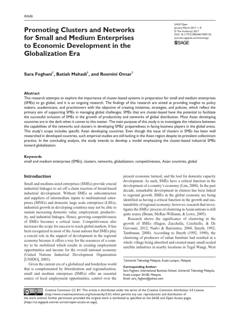 Promoting Clusters and Networks For MSME | PDF | Small And Medium Sized Enterprises | Globalization